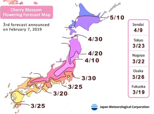 Ini Jadwal Lengkap Musim Sakura Jepang Tahun 2019!