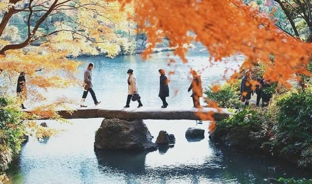 10 Spot Instagramable di Tokyo Buat Foto ala Selebgram